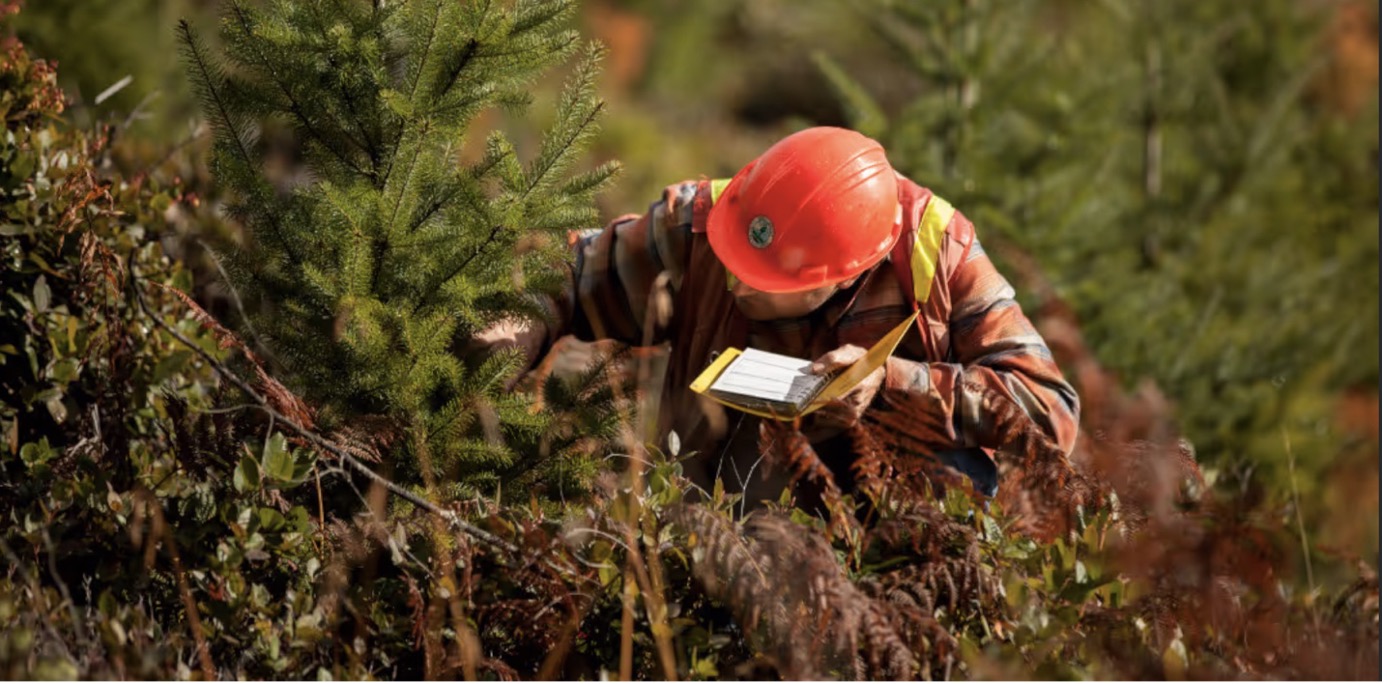 Private Managed Forest Land: A Small Land Base with Big Benefits - PFLA